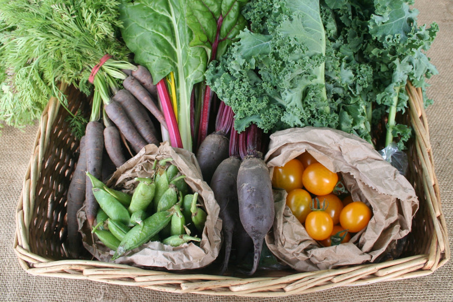 Veg for me and my family | The Kindling Trust