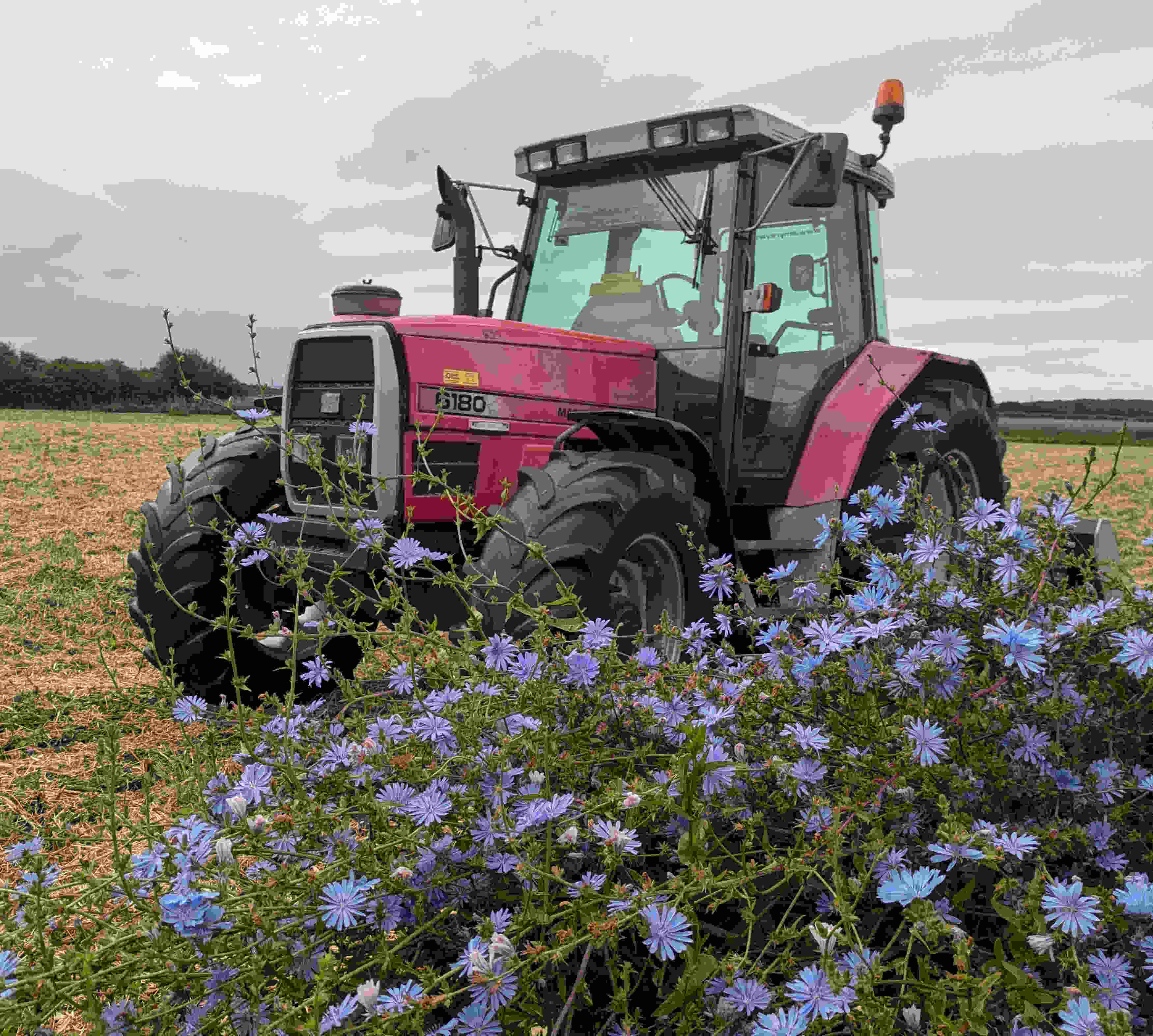 Farm Manager wanted for Kindling Farm | The Kindling Trust